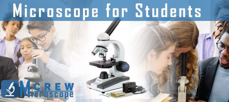 10 Best Microscopes for Students [ Expert's Choice ] - Microscope Crew