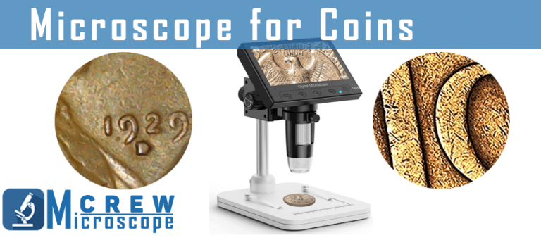 Best Microscopes for Coins [ Top 10 Models ] - Microscope Crew