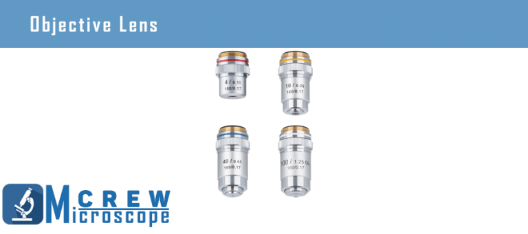 Types of Microscope Lenses [How they Work] - Microscope Crew