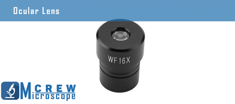 Types of Microscope Lenses [How they Work] - Microscope Crew