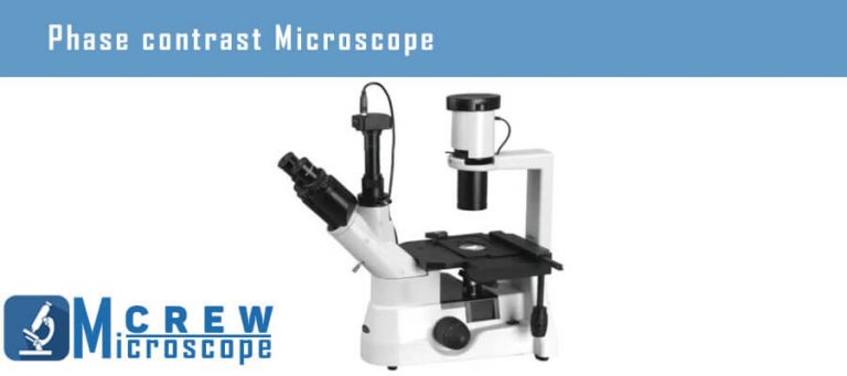 Types of Microscope [ Parts, Features & Uses ] - Microscope Crew