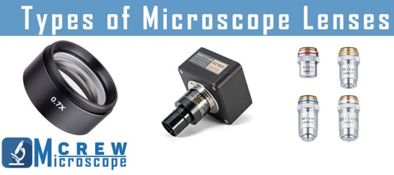 Types of Microscope Lenses [How they Work] - Microscope Crew
