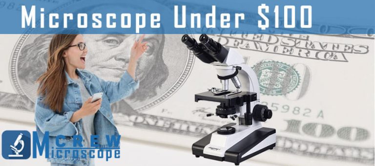 Best Microscope under $100 [ Multiple Usages ] - Microscope Crew