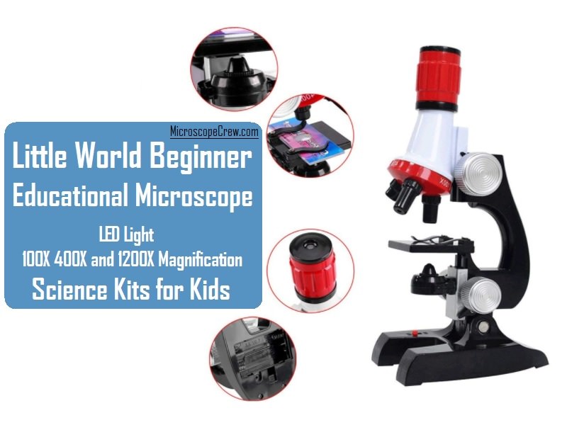 Best Microscope for 5 Year Old Children - Microscope Crew