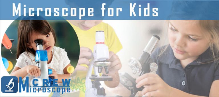 Best Microscope for 5 Year Old Children - Microscope Crew
