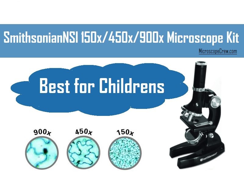 Best Microscope for 5 Year Old Children - Microscope Crew