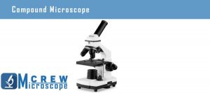 Difference between Compound and Dissecting Microscopes - Microscope Crew