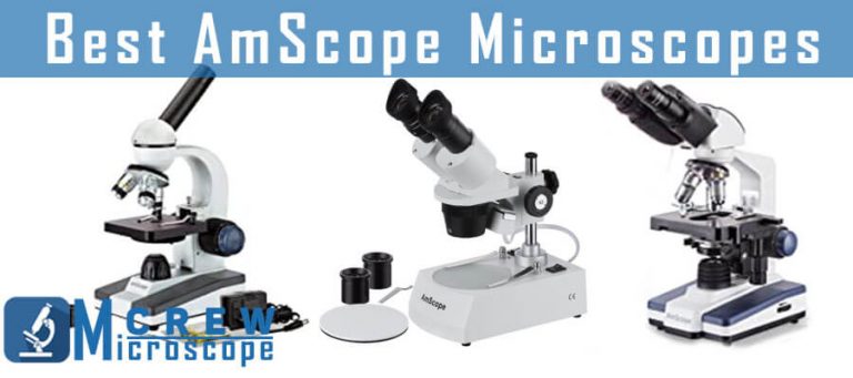 MicroscopeCrew: The Best Microscope Guides and Reviews