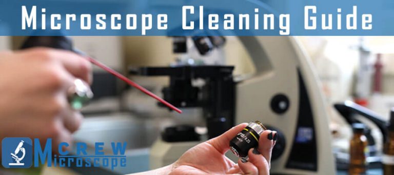 How to Clean a Microscope? - Microscope Crew