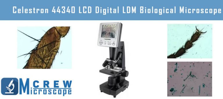 15 Best Digital Microscopes [ Top 15 LCD Microscopes ] - Microscope Crew