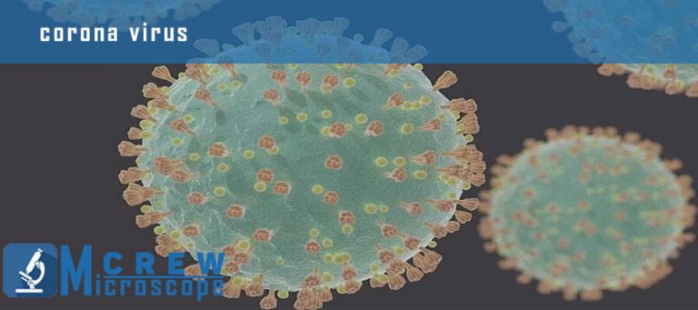 What Do Germs Look Like Under a Microscope? - Microscope Crew