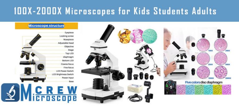 10 Best Microscopes for Students [ Expert's Choice ] - Microscope Crew