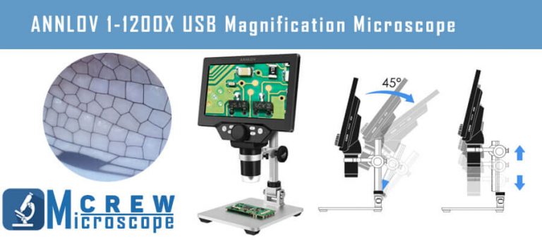 12 Best Microscopes for Electronics [ Best for Labs ] - Microscope Crew