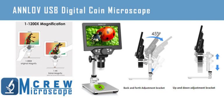 Best Microscopes for Coins [ Top 10 Models ] - Microscope Crew