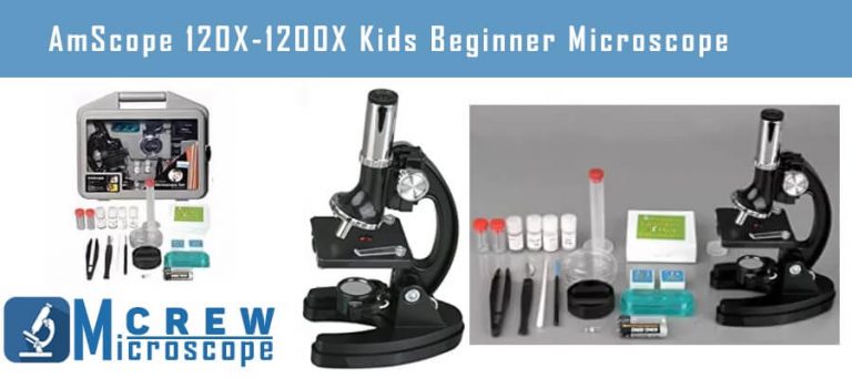 10 Best Microscopes for Students [ Expert's Choice ] - Microscope Crew