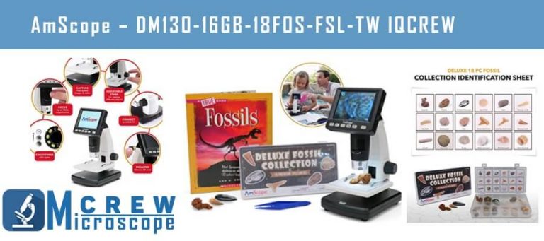 Best Amscope Microscope [ Reviews ] - Microscope Crew