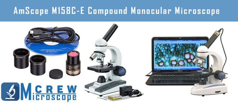 10 Best Compound Microscope [ Unbiased Reviews ] - Microscope Crew
