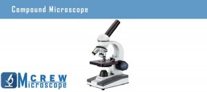 Compound Microscope VS Stereo Microscope - Microscope Crew