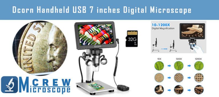 12 Best Microscopes for Electronics [ Best for Labs ] - Microscope Crew