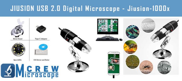 Best Microscopes for Coins [ Top 10 Models ] - Microscope Crew