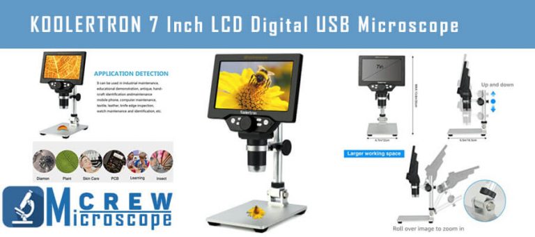 Best Microscopes for Coins [ Top 10 Models ] - Microscope Crew