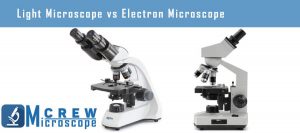Difference between Light and Electron Microscope - Microscope Crew