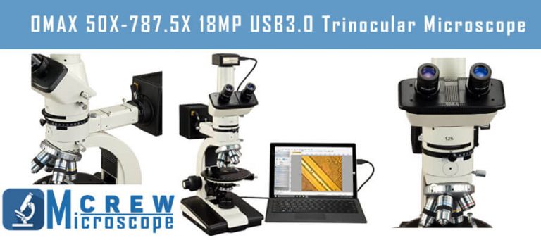 Best OMAX Microscopes [ Reviews ] - Microscope Crew