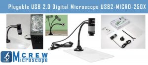 Best Microscopes for Coins [ Top 10 Models ] - Microscope Crew