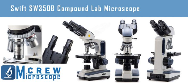 10 Best Compound Microscope [ Unbiased Reviews ] - Microscope Crew