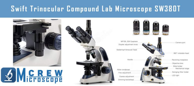 10 Best Compound Microscope [ Unbiased Reviews ] - Microscope Crew