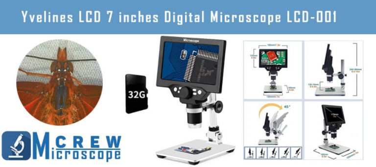 12 Best Microscopes for Electronics [ Best for Labs ] - Microscope Crew