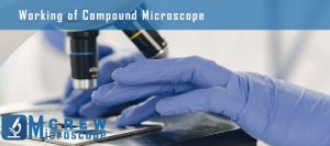 Light Microscope vs Compound Microscope - Microscope Crew