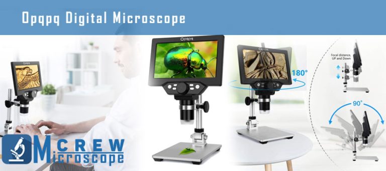15 Best Digital Microscopes [ Top 15 LCD Microscopes ] - Microscope Crew