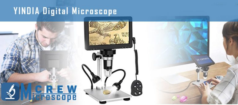 15 Best Digital Microscopes [ Top 15 LCD Microscopes ] - Microscope Crew