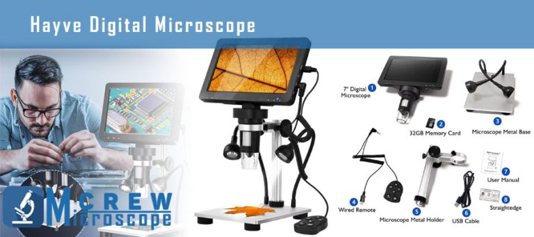 15 Best Digital Microscopes [ Top 15 LCD Microscopes ] - Microscope Crew