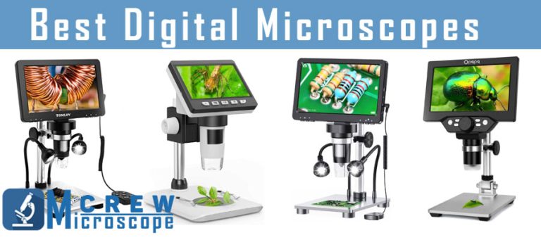15 Best Digital Microscopes [ Top 15 LCD Microscopes ] - Microscope Crew