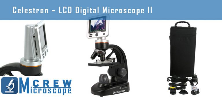 15 Best Digital Microscopes [ Top 15 LCD Microscopes ] - Microscope Crew
