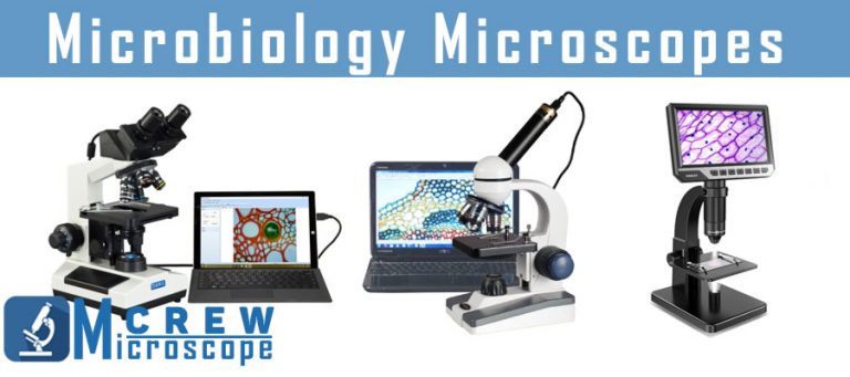 Best Microscopes for Microbiology [Biological Microscopes] - Microscope ...