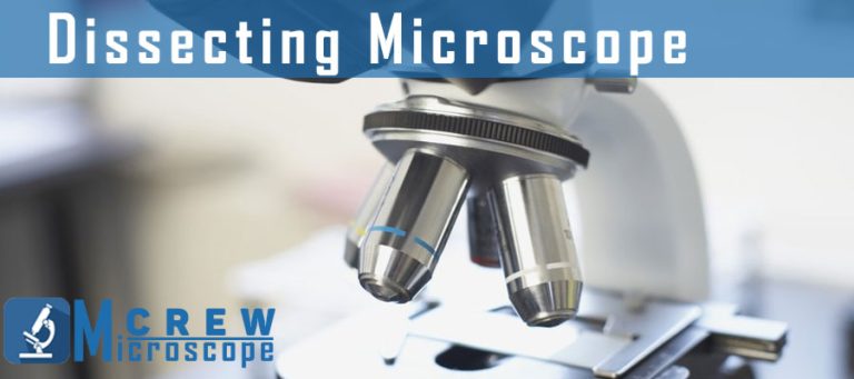 What is a Dissecting Microscope Used for? - Microscope Crew