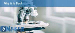 What is a Dissecting Microscope Used for? - Microscope Crew