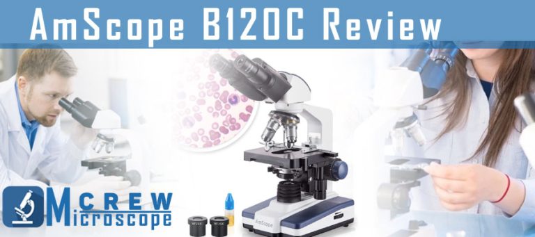 AmScope B120C Microscope Review - Microscope Crew