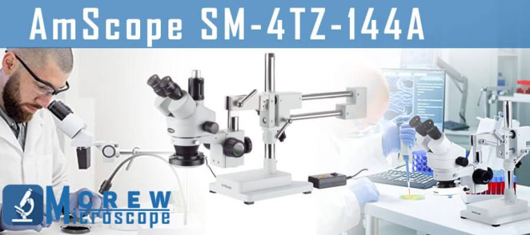 MicroscopeCrew: The Best Microscope Guides and Reviews