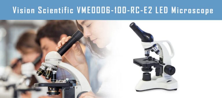 Best 2000x Magnification Microscopes - Microscope Crew