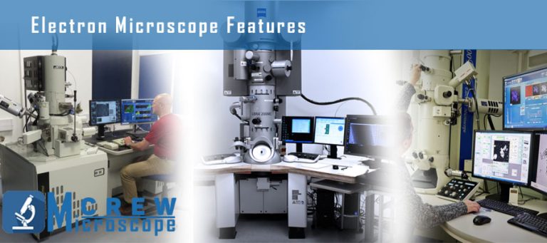 Difference Between Electron Microscope and Optical Microscope - Microscope Crew