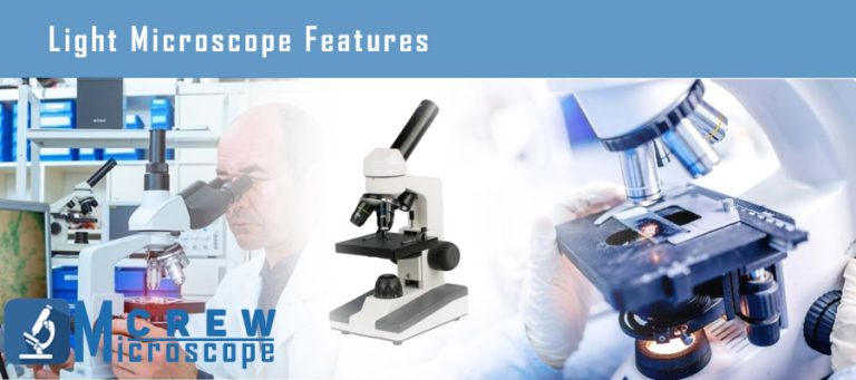 Difference Between Light Microscope and Simple Microscope - Microscope Crew