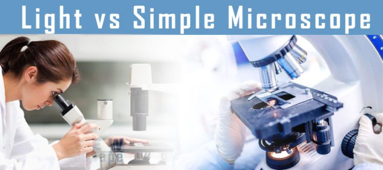 Difference Between Light Microscope and Simple Microscope - Microscope Crew