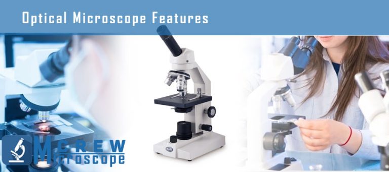 Difference Between Electron Microscope and Optical Microscope - Microscope Crew