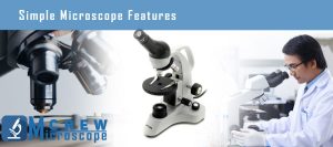 Difference Between Light Microscope and Simple Microscope - Microscope Crew