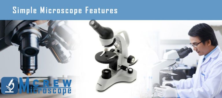 Difference Between Light Microscope and Simple Microscope - Microscope Crew