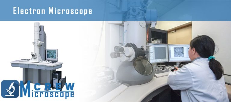 Electron Microscope vs Compound Microscope - Microscope Crew